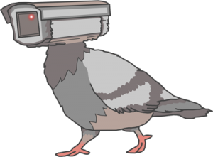 Pigeons Aren't Real » The Truth about Government Surveillance Drones